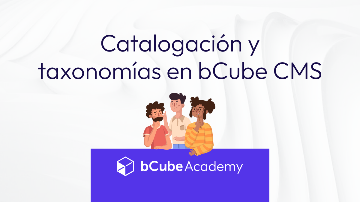 Catalogación y taxonomías en bCube CMS